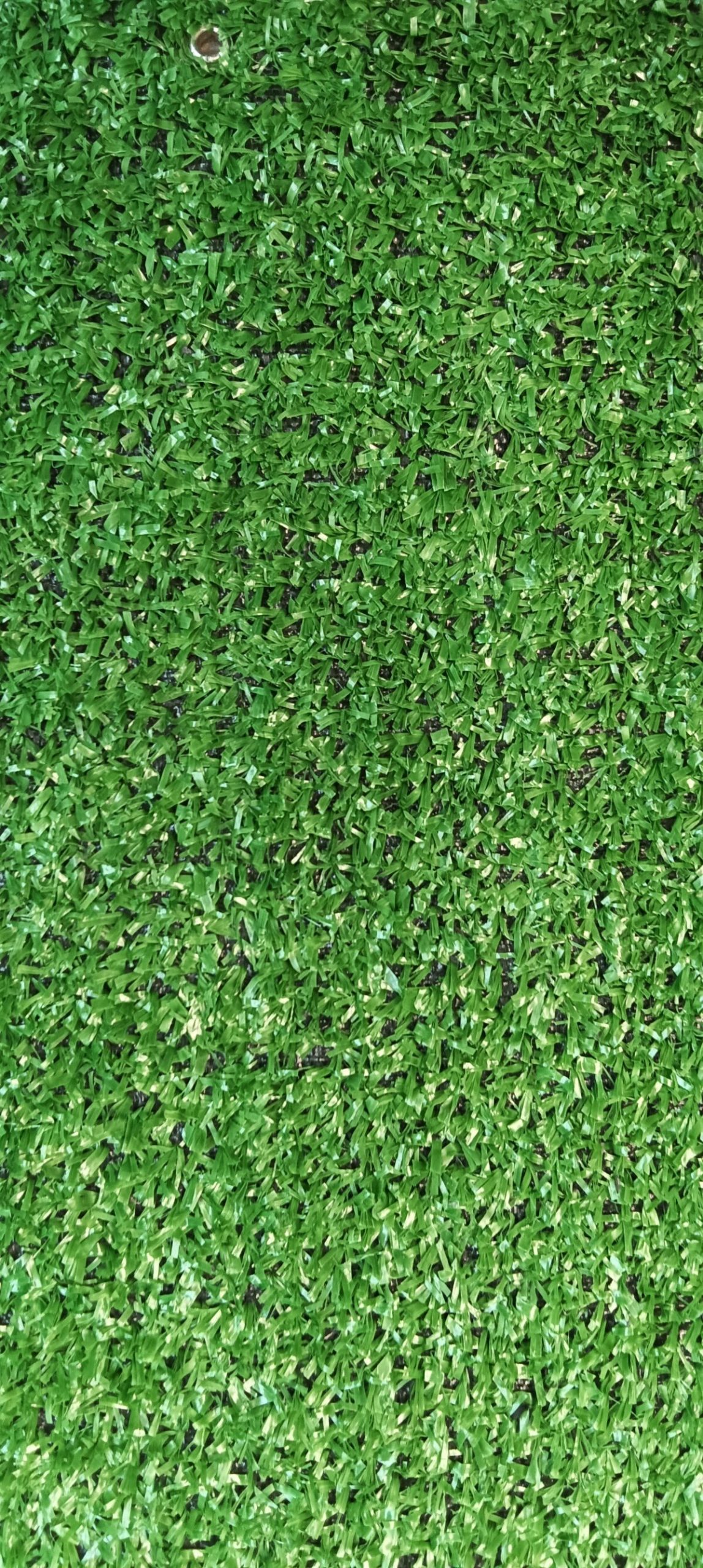 Aruba – Inter Design